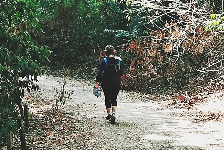 Rome Calling: Why Walk The Via Francigena or Italian Camino